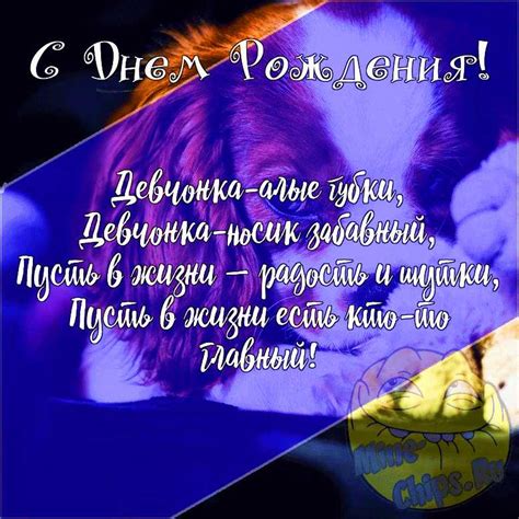 Подарить смешную открытку с днём рождения девушке онлайн С любовью