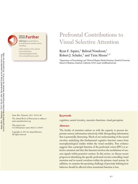 Prefrontal Contributions To Visual Selective Attention Pdf Visual