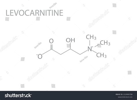 Levocarnitine Molecular Skeletal Chemical Formula Vector Stock Vector