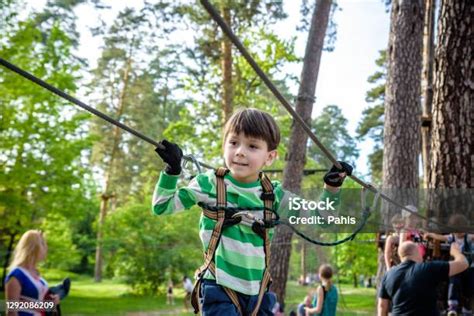 귀여운 아이 소년 재생 예술작품은 비행 여우 나 거미 그물을 포함하는 에코 리조트에서 게임을 묘사합니다 모든 어린 시절이 중요합니다 유아 나이 아이들의 재미 층계에 대한