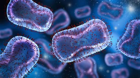 Как вирусите помагат срещу онкологичните заболявания Nova