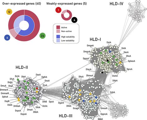 Sequence Similarity Network For Hlds Categorized By Their Expression Download Scientific