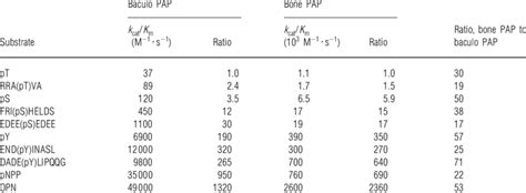 Substrate Specificity Of Recombinant Pap Compared With That Of Pap Download Table
