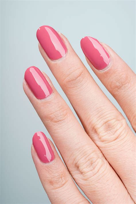 Translucent Violet Shtolida