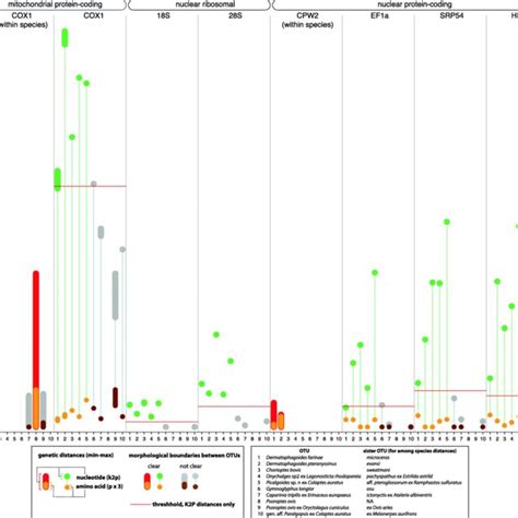 Comparison Within And Among Species Max Min Genetic Distances Across