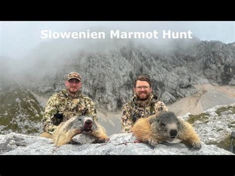 Alpine Marmot Hunt Exploring The Ibex Country Of Slovenia Youtube
