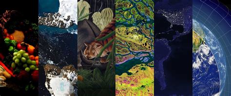 What Are 10 Environmental Issues