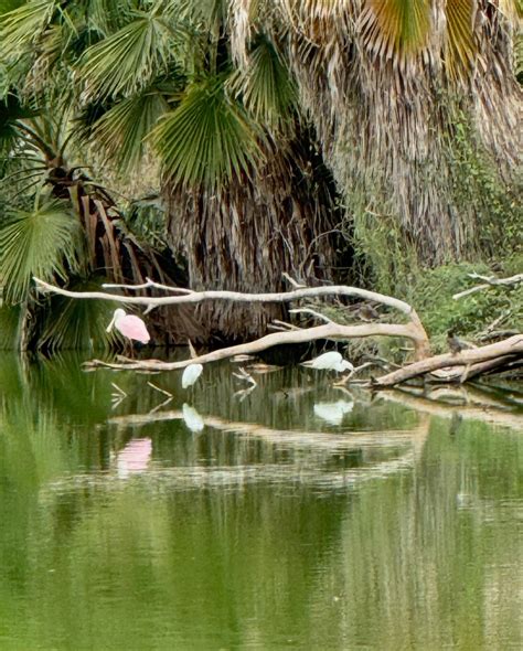 Cathy Knutson Travel