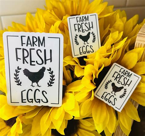 Farm Fresh Eggs Sticker Pack Farm Fresh Eggs Farm Fresh Eggs