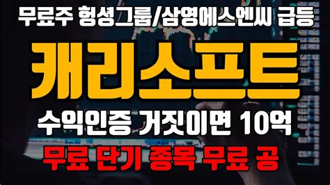 캐리소프트 수상한 움직임의 종목 유상증자 3자배정의 숨은 의미 캐리소프트 캐리소프트주가 캐리소프트주가전망 캐리
