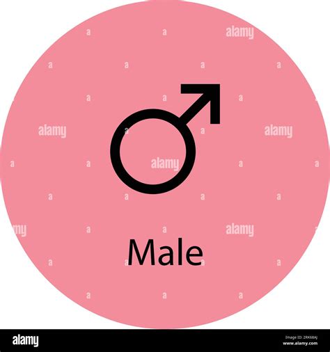 Male Symbol Icon Gender Icon Vector Sign Isolated On A White