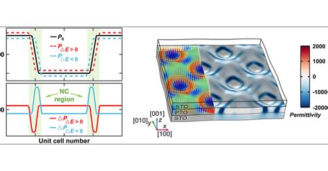 Continuously Tuning Negative Capacitance Via Field Driven Polar Skyrmions In Ferroelectric