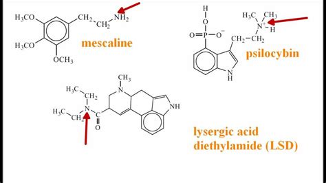 Mescaline Structure
