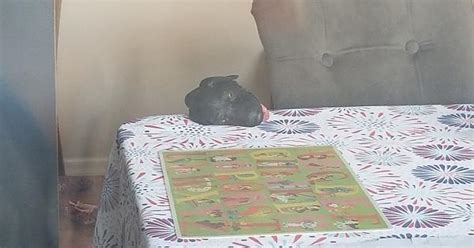 Strange Occurance Album On Imgur