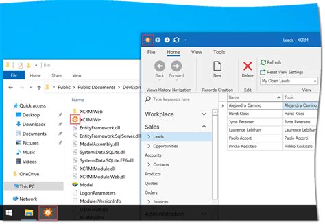 application icon logo and about info xaf cross platform app ui