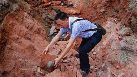 China Dinosaur Eggs Dated 86 Million Years Using Uranium Lead Method