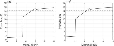 Determination Of The Optimal Sirna Dose To Restore Proper Response Of