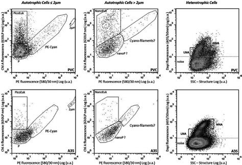 Flow Cytometry Cytograms Resolving Bacteria Characterized By Two Download Scientific Diagram