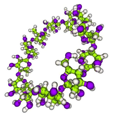 What Is Amylose Benefits Structure Function And Uses Bite My Bun