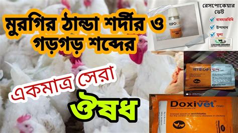 মরগর ঠনড শরদ ঝমন রগর একমতর সর করযকর ঔষধ মরগর জবর শরদ ঠনড রগর চক