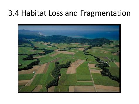 Ppt Biodiversity Habitat Loss And Fragmentation Powerpoint Presentation Id2807605
