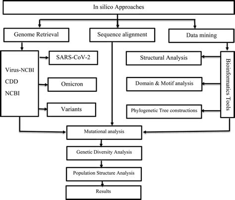 Scheme 1 Complete Workflow Of The In Silico Strategy Employed For