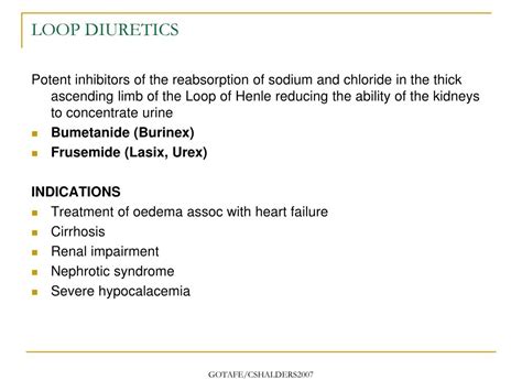 Ppt Renal System Powerpoint Presentation Free Download Id1107771