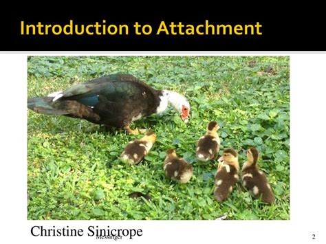 Attachment Daniel Messinger Ppt Download