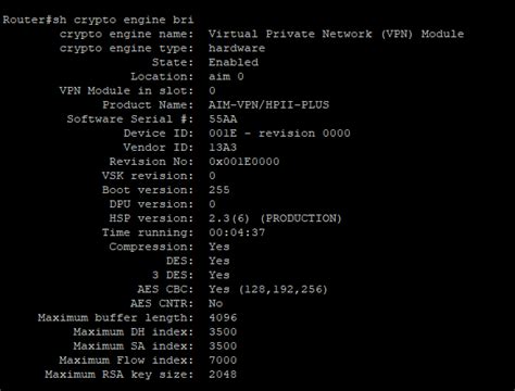 Using An Aim Vpn Epii Plus In A Cisco 3845 Or How To Convert An Epii To Hpii Virtually Fun