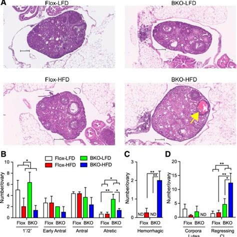 Jerrold M Olefskys Research Works University Of California San