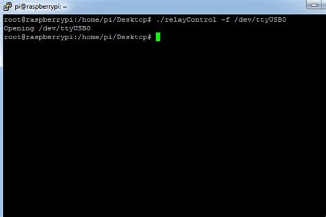 Controlling Usb One Relay By Raspberry Pi