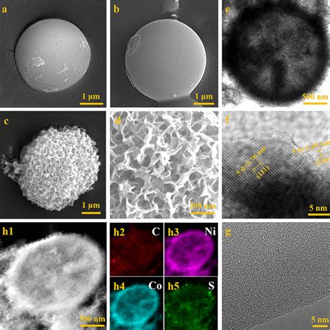 SEM Images Of A SiO2 B SiO2 C And C D C NiCo2S4 TEM E And Download Scientific