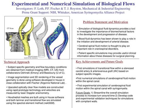 Ppt Experimental And Numerical Simulation Of Biological Flows Powerpoint Presentation Id3526332