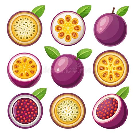 Passionfruit Icon Set In Flat Vector Style Stock Illustration