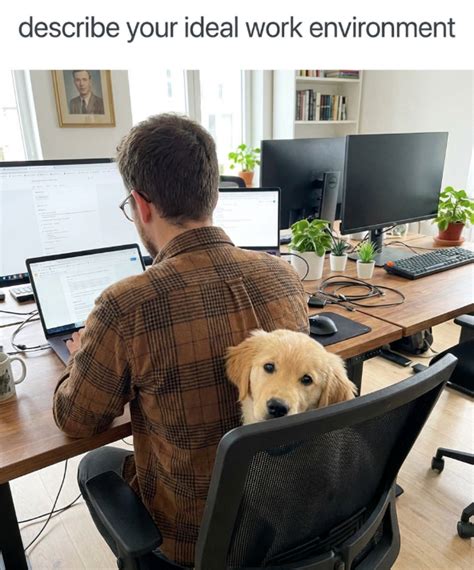 24 Positive Work Memes To Get You Through The Mid Week Burnout