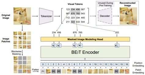 Masked Image Modeling 深度学习中的新范式 懂ai