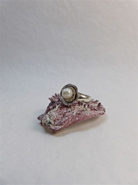 Jewellery Skoljka