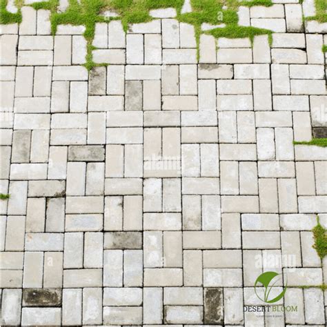 Luxurious And 1 Interlock Tiles Manufacturers Company In Dubai Desert