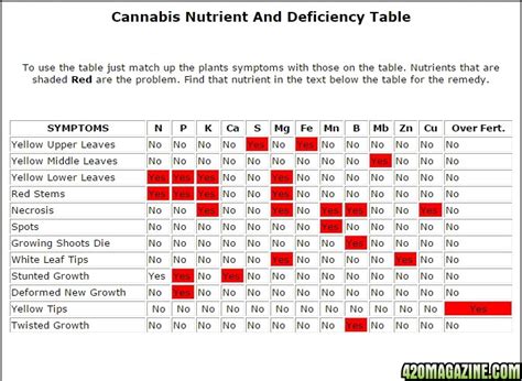 Identifying Nutrient Deficiencies With Chart 420 Magazine