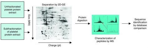 Platelet Genomics And Proteomics In Human Health And Disease Pmc