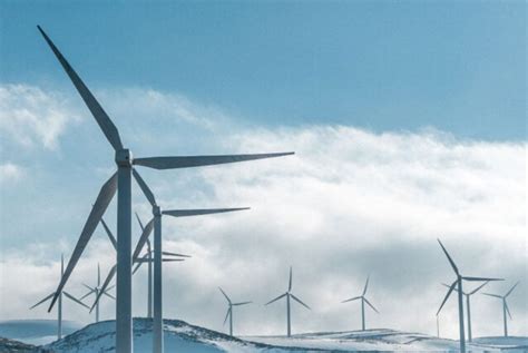 Embedded Development Zediot