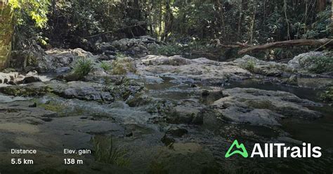 Kuranda Jungle Walk Queensland Australia 142 Reviews Map Alltrails