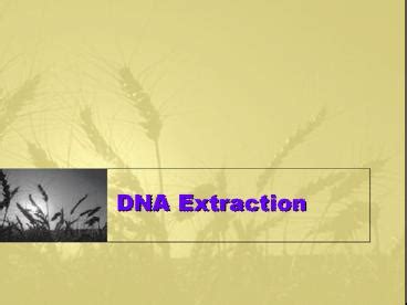 DNA Extraction Presentation Free To Download