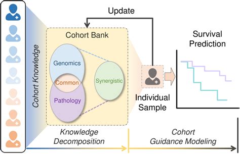 Cohort Individual Cooperative Learning For Multimodal Cancer Survival Analysis Ai Research
