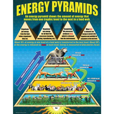 Ecosystems Poster Set Tcrp059 Teacher Created Resources