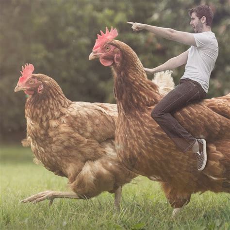 Sam Timinsky Youtube