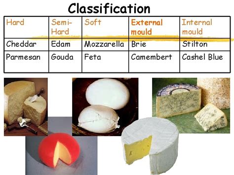 Cheese A Fermented Dairy Food Pdst Home Economics