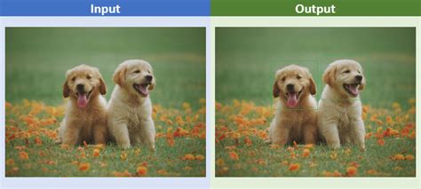 Understanding Object Localization With Deep Learning