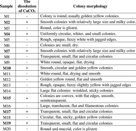 The Dissolution Of Caco3 And Colony Morphology Of 20 Sample Samples Download Scientific