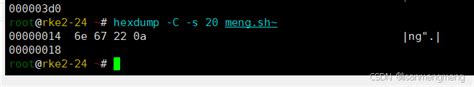 hexdump 命令的介绍和使用案例 csdn博客